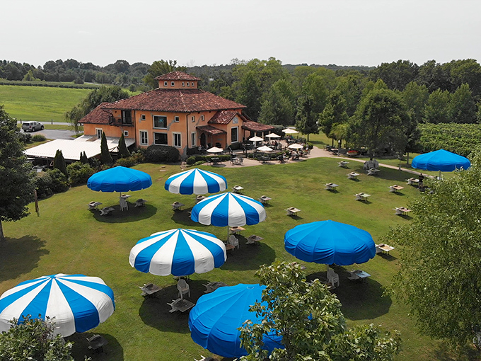 Blue Sky Vineyard: Tuscany called, it wants its view back! This slice of Italian heaven in Southern Illinois will have you saying "Mamma mia!" faster than you can uncork a bottle.