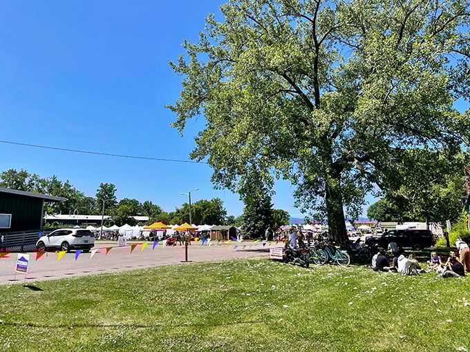 The Burlington Farmers Market: Where farm-fresh meets funky finds. It's like your favorite salad bar, but with a side of vintage vinyl and handmade jewelry.