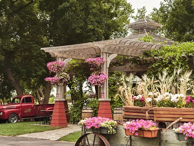 Carlos Creek's floral fantasy: This pergola is so romantic, it should come with a warning label for spontaneous proposals.