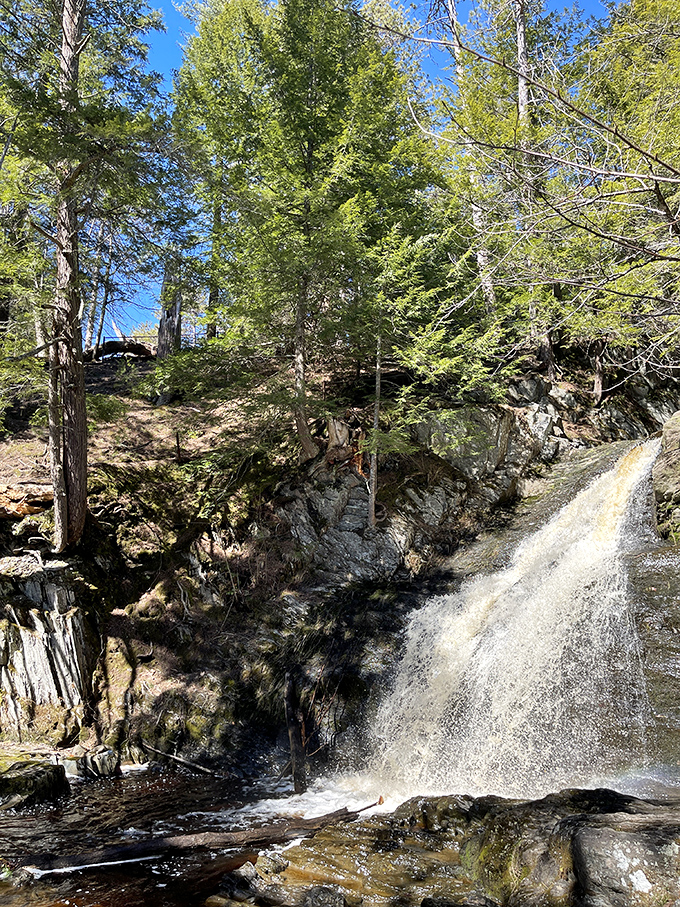 Cascade Falls: Where every drop is a prima donna, demanding attention as it leaps dramatically from rock to rock. Bravo, nature!