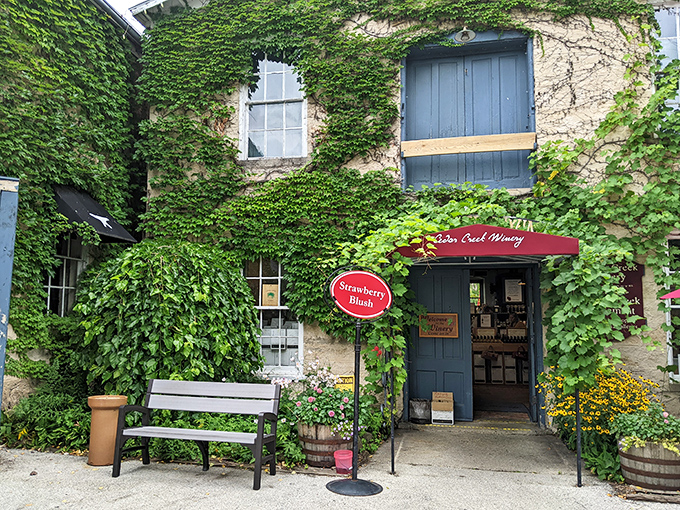 Cedar Creek Winery: Where old-world charm meets new-world wine. This restored mill proves everything gets better with age... especially wine!