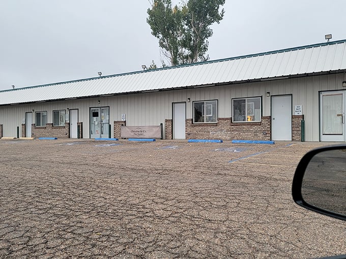 Cowboy chic meets vintage vogue! Christine & Co. Flea Market is a time-traveling adventure through decades of fashion, toys, and Americana.