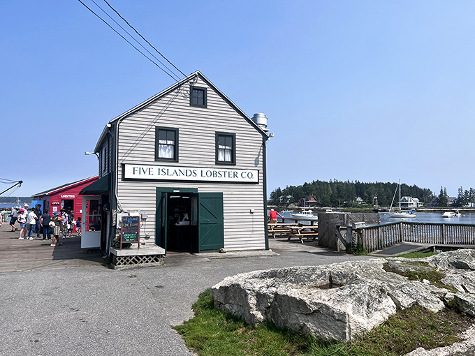 Five Islands Lobster Co: Where lobsters have their last dance with butter. The view alone is worth the drive!