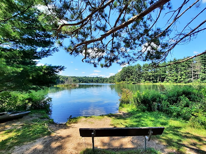 Bench with a view: The best seat in the house for nature's daily masterpiece. Sorry, IMAX, you've been outdone.