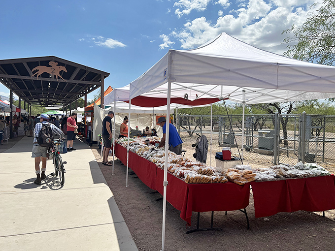 Tucson's Rillito Park: Where veggies come to vacation and show off their sun-kissed glow to adoring fans.