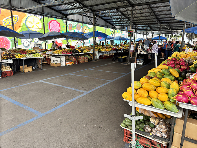 Hilo Farmers Market: Where rainbows come to shop! This vibrant bazaar is a feast for the eyes and a party for your taste buds.