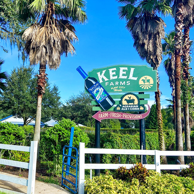 Keel & Curley Winery: Blueberries gone wild! This Plant City hotspot proves Florida's favorite fruit isn't just for pancakes anymore.