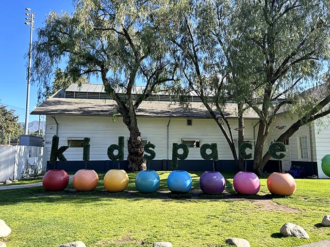 Kidspace: Where learning and laughter collide in a rainbow explosion of fun. Einstein meets Sesame Street!