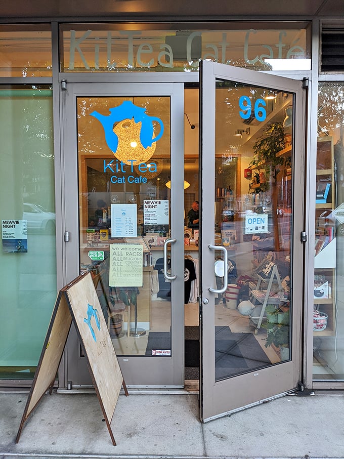 KitTea: Where San Francisco's most discerning felines host their tea parties. It's like Downton Abbey, but with more whiskers.