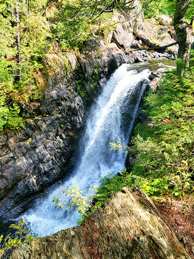 Moxie Falls: Maine's answer to the Fountain of Youth. Just don't expect to come out looking like a teenager.