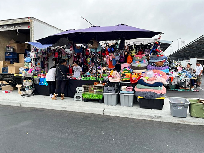 Orange Coast College: Where education meets excavation. Dig for knowledge on weekdays, unearth treasures on Saturdays!