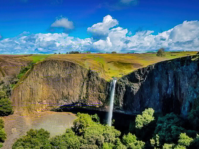 Now you see it, now you don't! Phantom Falls plays hide-and-seek in a sea of wildflowers. Blink and you might miss it!