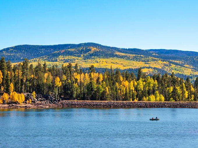 Pinetop-Lakeside: Where pines meet placid waters. It's Arizona's best-kept secret for those who like their lakes with a side of forest.