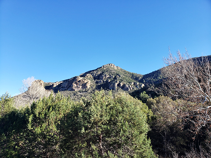 Ramsey Canyon: Where hummingbirds throw the ultimate garden party. These tiny divas flit about like feathered fireworks.