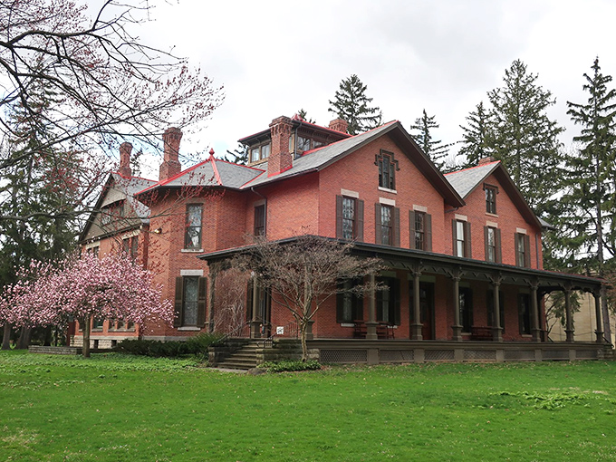 Rutherford B. Hayes Presidential Library: Where history buffs and bookworms unite. It's the original presidential man cave, with fewer beer cans and more leather-bound books.