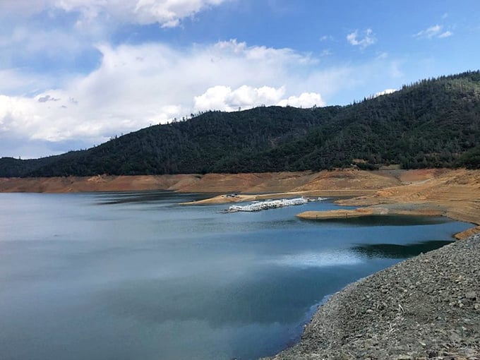 Shasta Lake: So vast and blue, you might need a GPS to find your way back to shore!