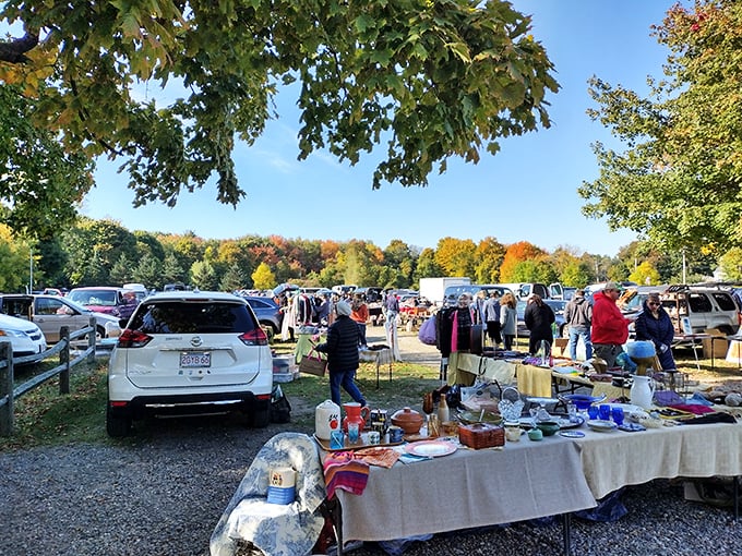 Todd Farm's early bird special: Dawn breaks over a field of finds. Coffee recommended, sense of wonder required.
