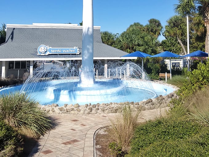 Splash into a world of wonder! Weeki Wachee's mermaids turn synchronized swimming into an underwater ballet.
