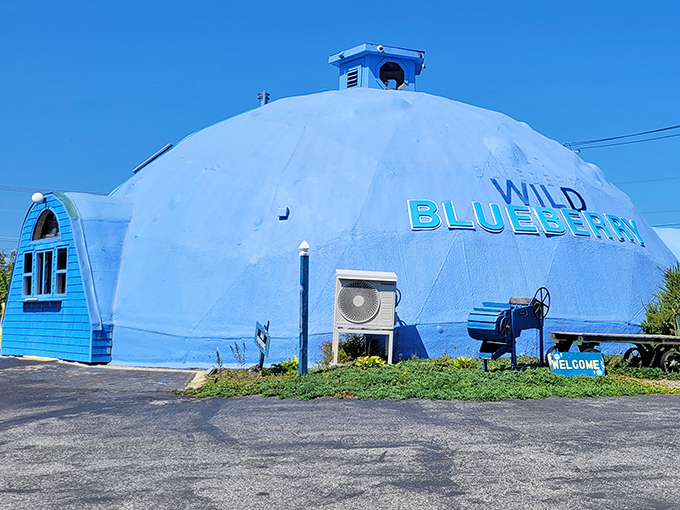 Wild Blueberry Land: Berry madness meets architectural whimsy! This blue dome is Willy Wonka's dream, if he'd been obsessed with blueberries.