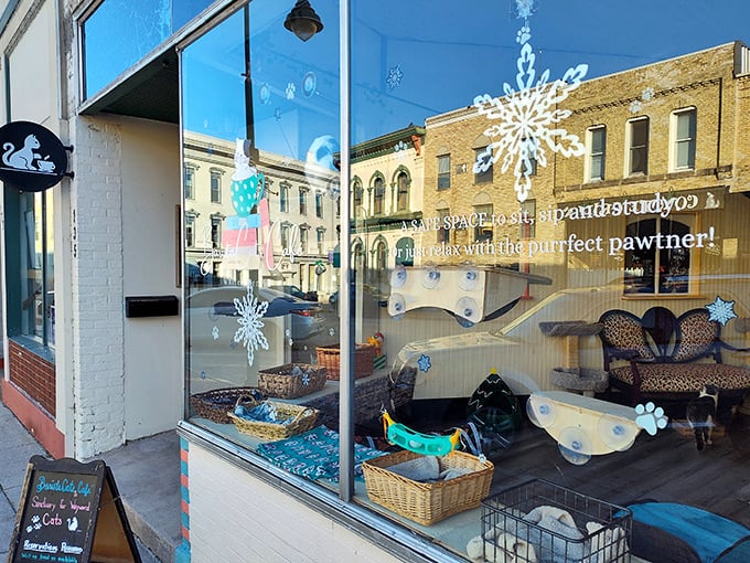 The BaristaCats sign: Promising cats, coffee, and community. It's like a really niche, really adorable support group.