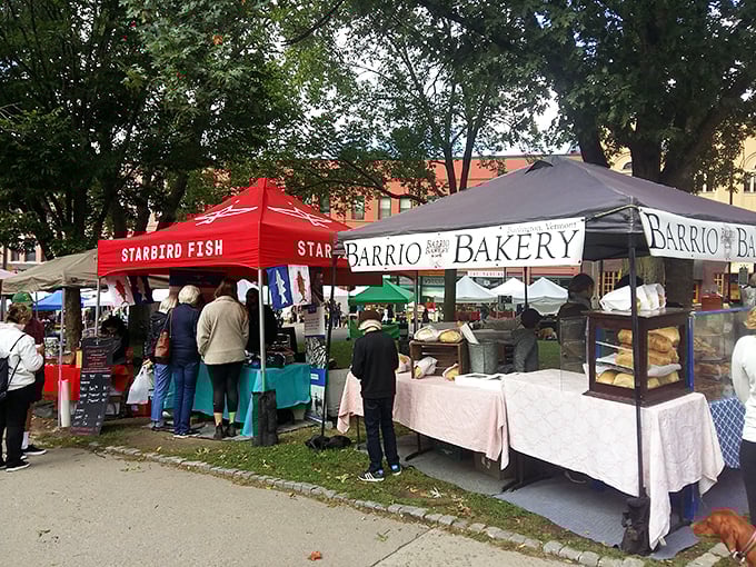 Food trucks and farm stands and flea market finds, oh my! The Burlington Farmers Market is a feast for all your senses. Come hungry, leave happy (and probably with a new hobby).