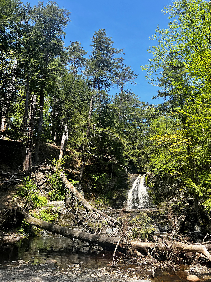 Who needs a water park when you've got Cascade Falls? Nature's own slip 'n slide, minus the sunburned lifeguards and overpriced snacks.