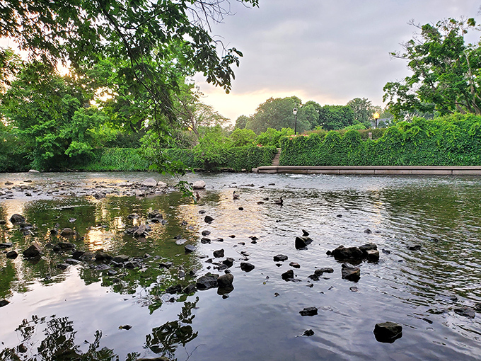 Dive into history at Centennial Beach. It's like someone took a chunk of the tropics and plopped it right in suburbia.