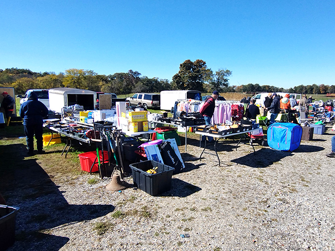 This market's got more range than a country music star's discography. Time to mosey on down!