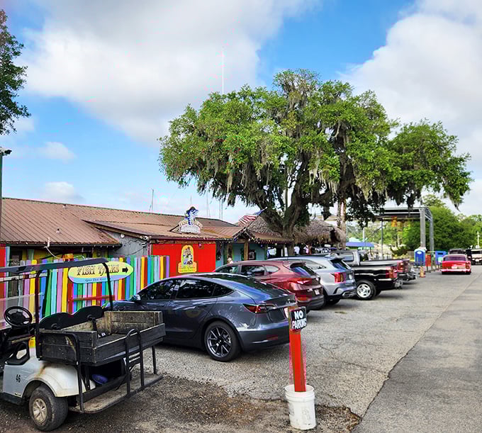 Where the decor is as playful as the menu, and every meal feels like a celebration of the sea. Bring your appetite and sense of adventure!