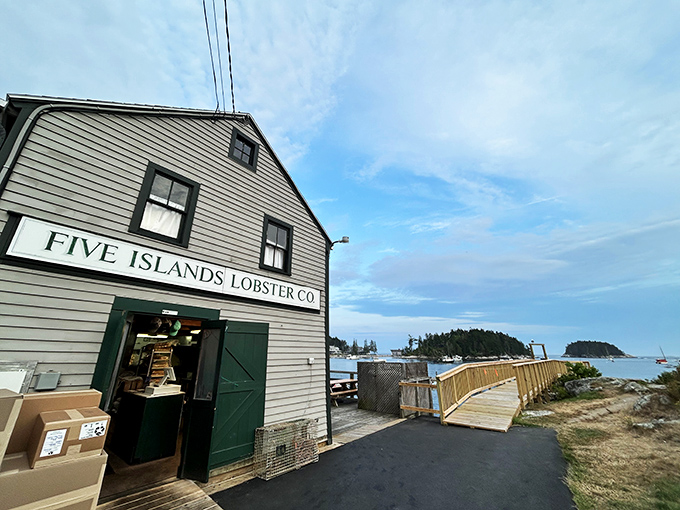 Perched on the edge of paradise, Five Islands serves up lobster so fresh, it might try to pinch you back.