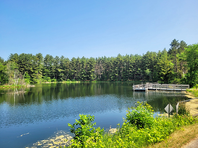 Paddle paradise: Canoes await their next adventure. Will you answer the call of the wild... or just the call for a relaxing float?