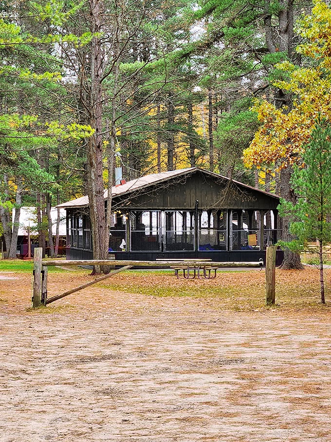 Paul Bunyan would feel right at home here. Step into a world where axes were mightier than swords at Hartwick Pines.