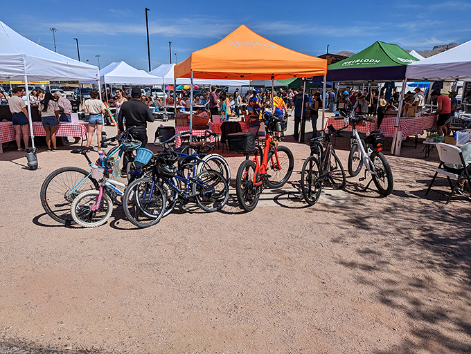 Is it a farmers market or a produce beauty pageant? At Rillito Park, it's hard to tell the difference!