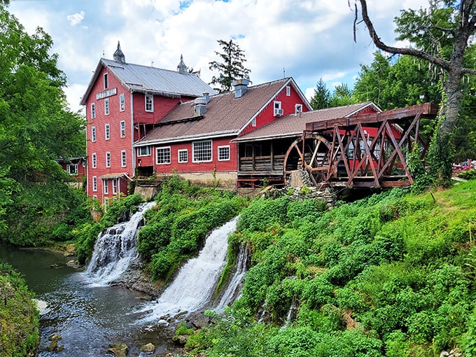 Waterfall views and award-winning pies? Clifton Mill is the stuff of daydreams &ndash; only you're wide awake and asking for seconds.