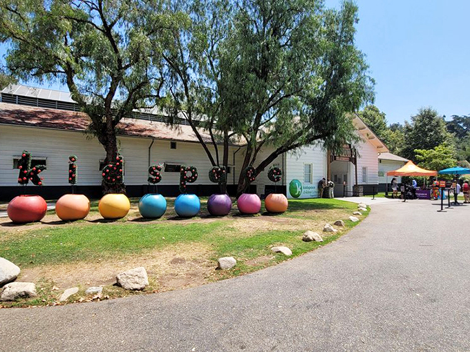 Who needs a time machine when you've got giant colorful balls? Travel back to your childhood, no flux capacitor required.
