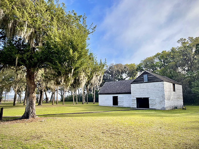 A glimpse into plantation life: Kingsley's time capsule. Oak-lined paths lead to sobering reminders and tales of unexpected triumph.