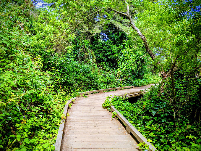 Golden Gate peekaboo and Sutro Bath ruins. It's like a scavenger hunt designed by Mother Nature and Father Time.