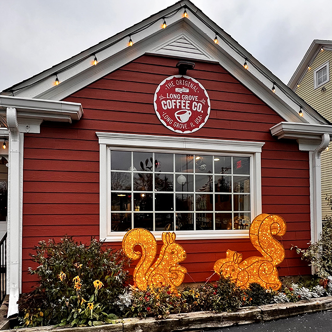 Squirrel! No, wait, those are just festive light-up critters. This cozy spot is sweeter than a Hallmark movie marathon.