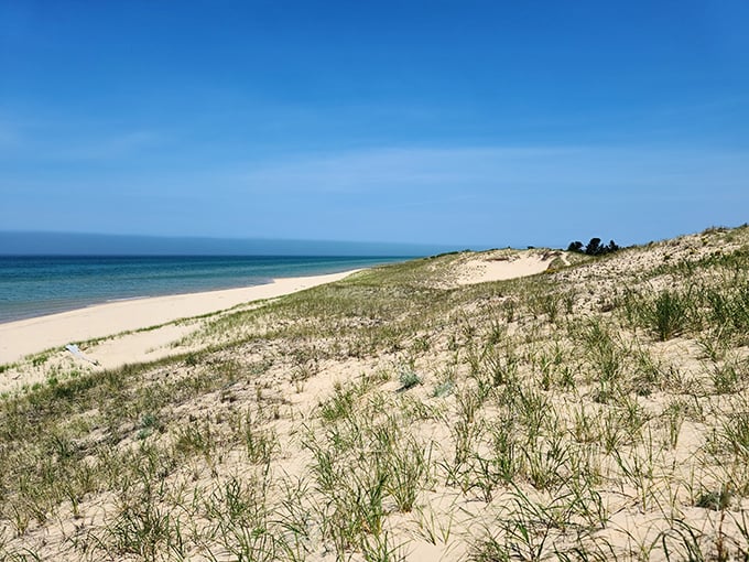 Sand, sun, and stripes! This classic lighthouse scene is pure Michigan magic, no Instagram filter required.