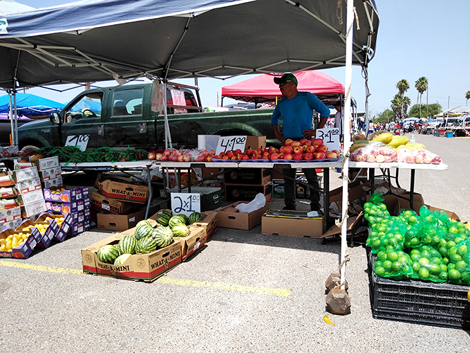 Where shopping and spinning collide! Mercadome's vibrant market and twirling rides create a dizzying day of Texan delights.
