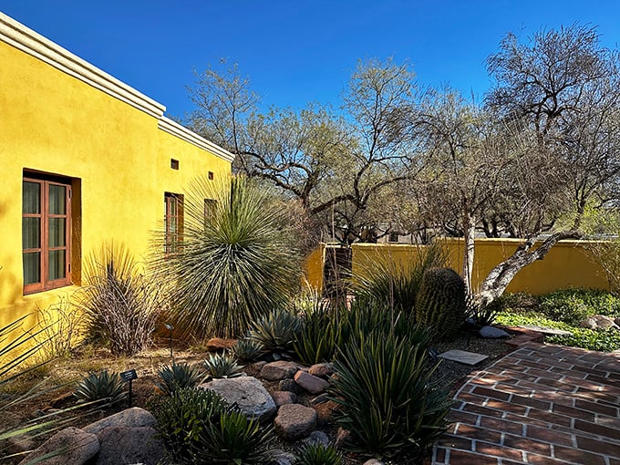 Adobe dreams meet desert reality. This mission's seen more action than an Indiana Jones movie. History whispers from every sun-baked brick.