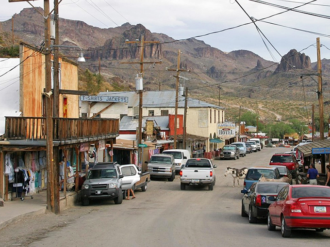 Wild burros roam freely in Oatman, acting like they own the place. And honestly, who are we to argue with these long-eared mayors?