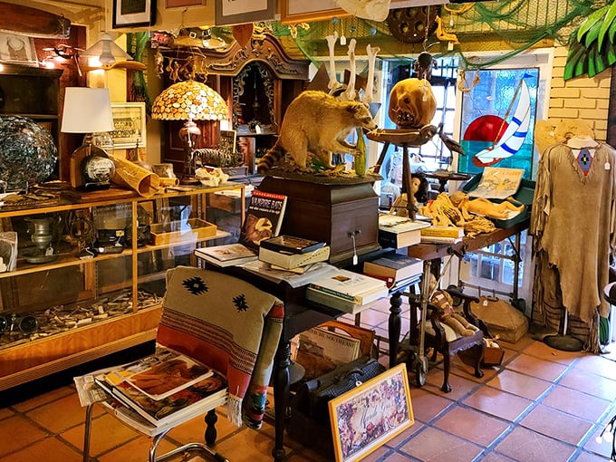 Step into a time capsule of curiosities! From dapper taxidermy to vintage oddities, this shop is where the past comes alive... sometimes a bit too literally!