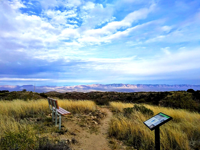 Oracle State Park: Where the stars come out to play. The Milky Way stretches across the sky like nature's own Broadway.