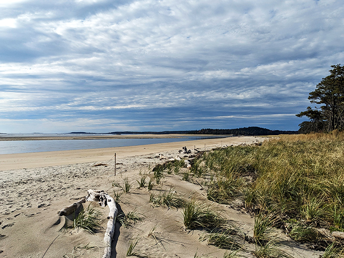 Beach or chameleon? This shoreline changes with the tides, offering a new adventure every visit. Pack your explorer's hat!