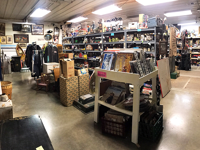 Welcome to Shaggy's, where every aisle is a potential episode of Antiques Roadshow. Leave your expectations at the door and bring your sense of wonder!