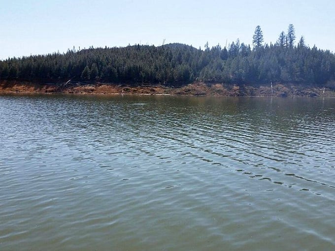Forest meets crystal waters: Shasta Lake's expansive beauty might just make you believe in Bigfoot sightings.