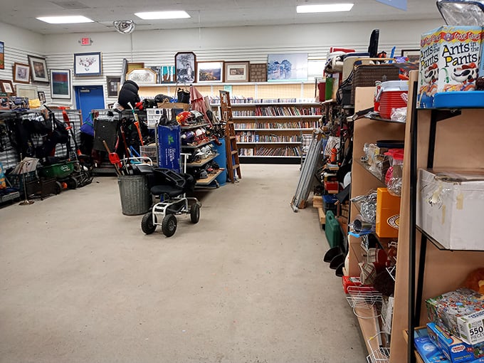 Accessory heaven! This display's a treasure trove of baubles and bling, perfect for channeling your inner fashionista on a budget.
