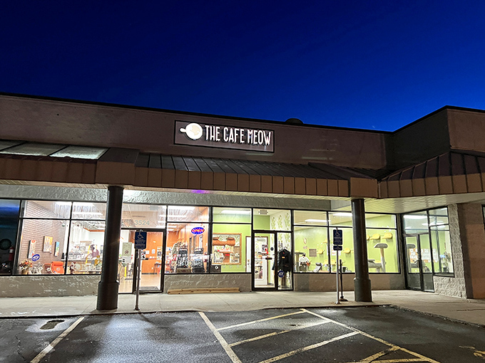 Paw-some news, New Hope! The Cafe Meow brings a slice of feline paradise to the suburbs. Resistance is futile!