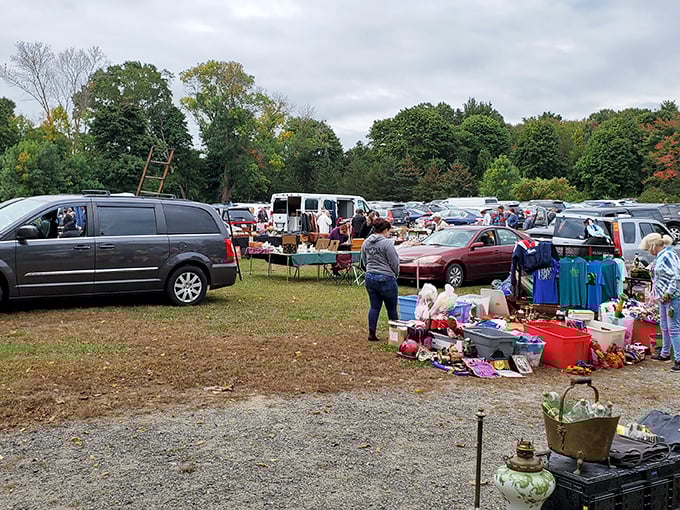 Rustic charm meets treasure hunting at Todd Farm. It's like your grandma's attic, but with better organization and fresher air.